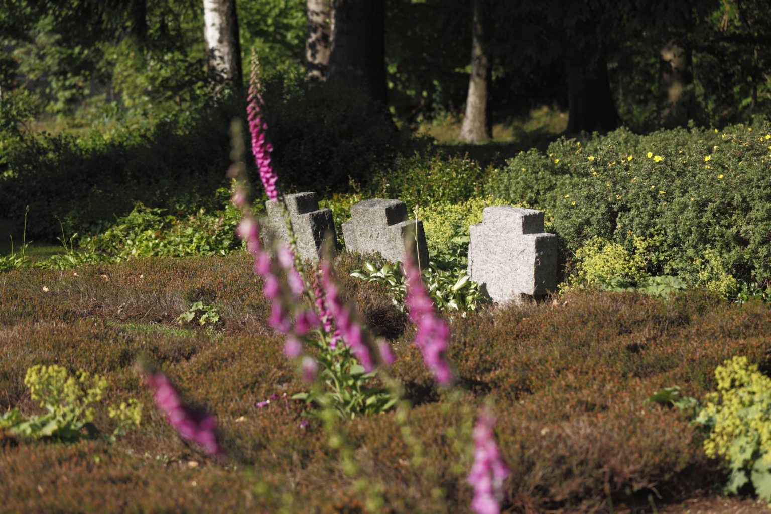 Jurist und Widerständler
