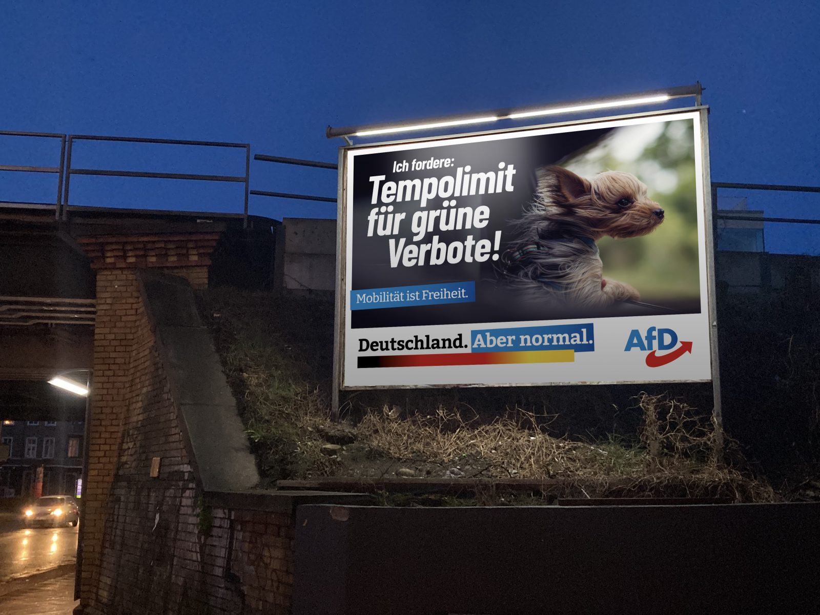 Mehr „Normalität“: AfD präsentiert Kampagne für Bundestagswahl