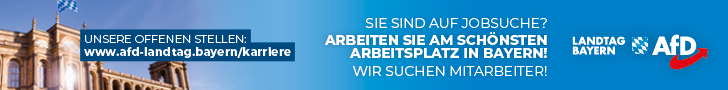 AfD-Chef Meuthen fordert Ende von Diesel-Fahrverboten